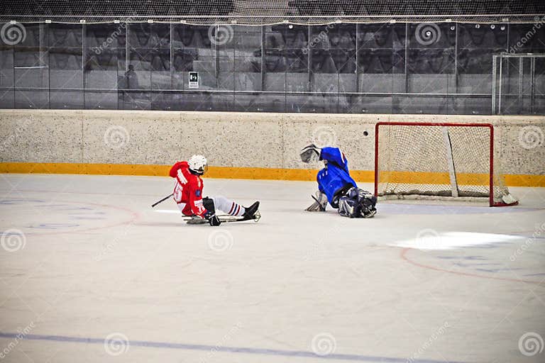 Ice Sledge Hockey editorial photo. Image of piemonte - 23631866