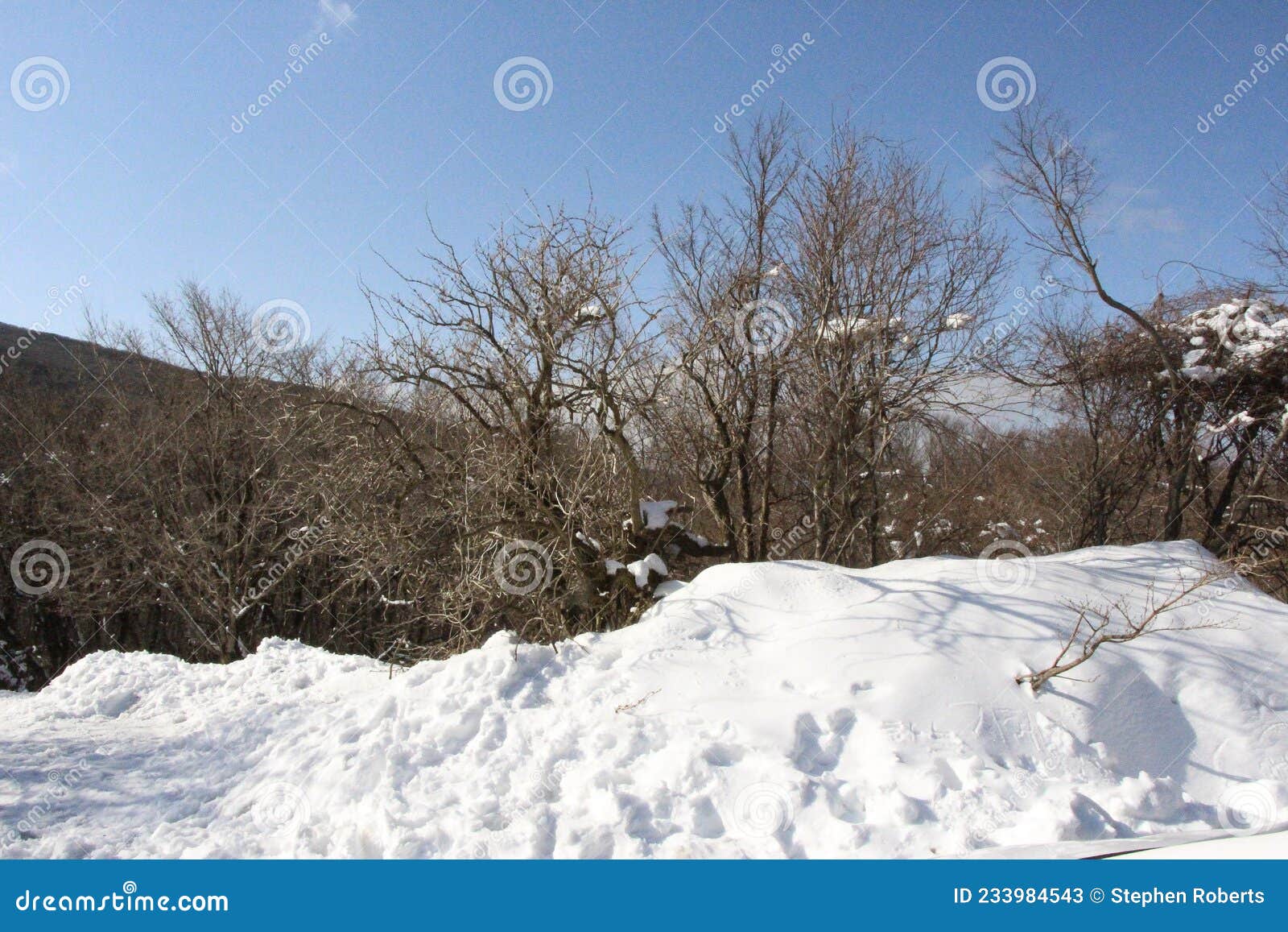 Ice and Snow Laying on the Hillside Stock Image - Image of freezing ...