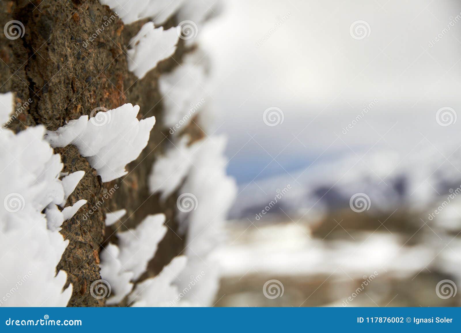 Ice Spikes on a Rock with a Blurred Background Stock Photo - Image of ...
