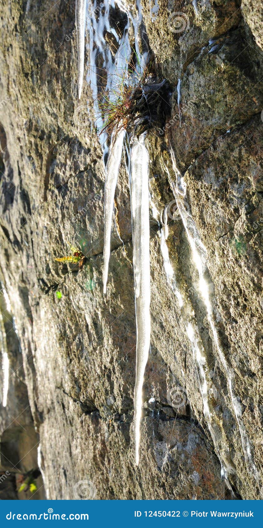 Ice stalactite stock photo. Image of cover, winter, nature - 12450422