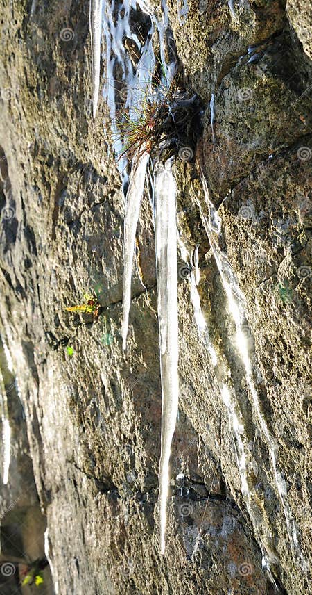 Ice stalactite stock photo. Image of cover, winter, nature - 12450422