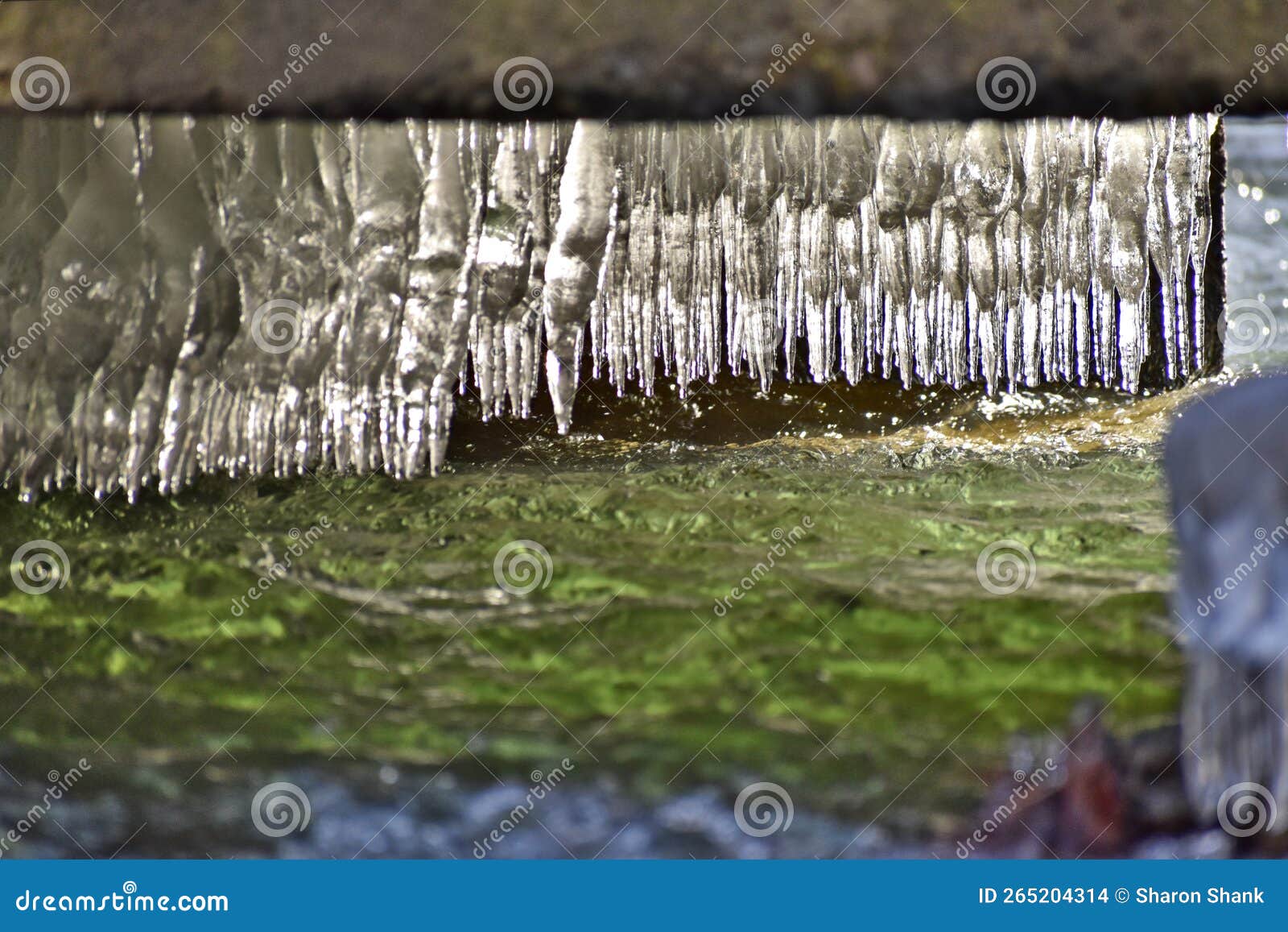 Ice Stalactites on a Bridge Stock Photo - Image of natural, icicles ...