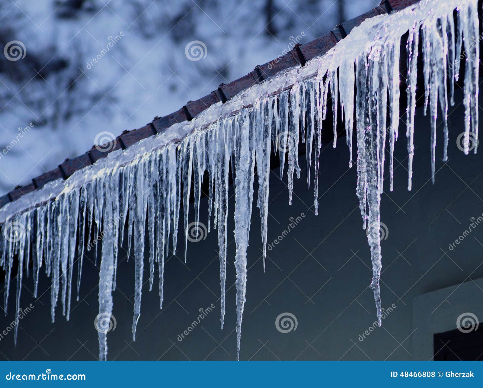 Ice stalactites stock photo. Image of danger, daylight - 48466808