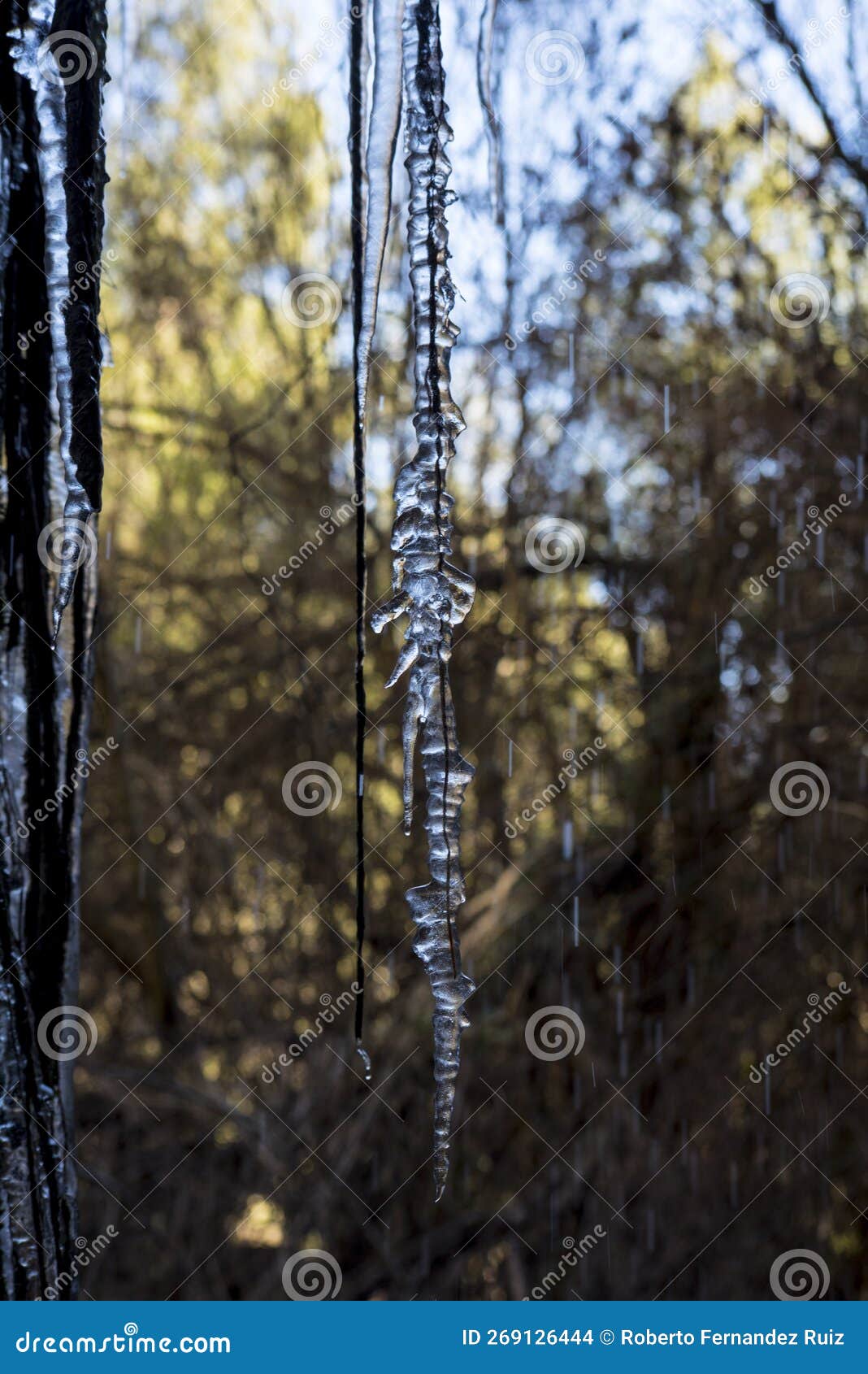 Ice Stalagtites Formed in a Natural Waterfall Stock Photo - Image of ...