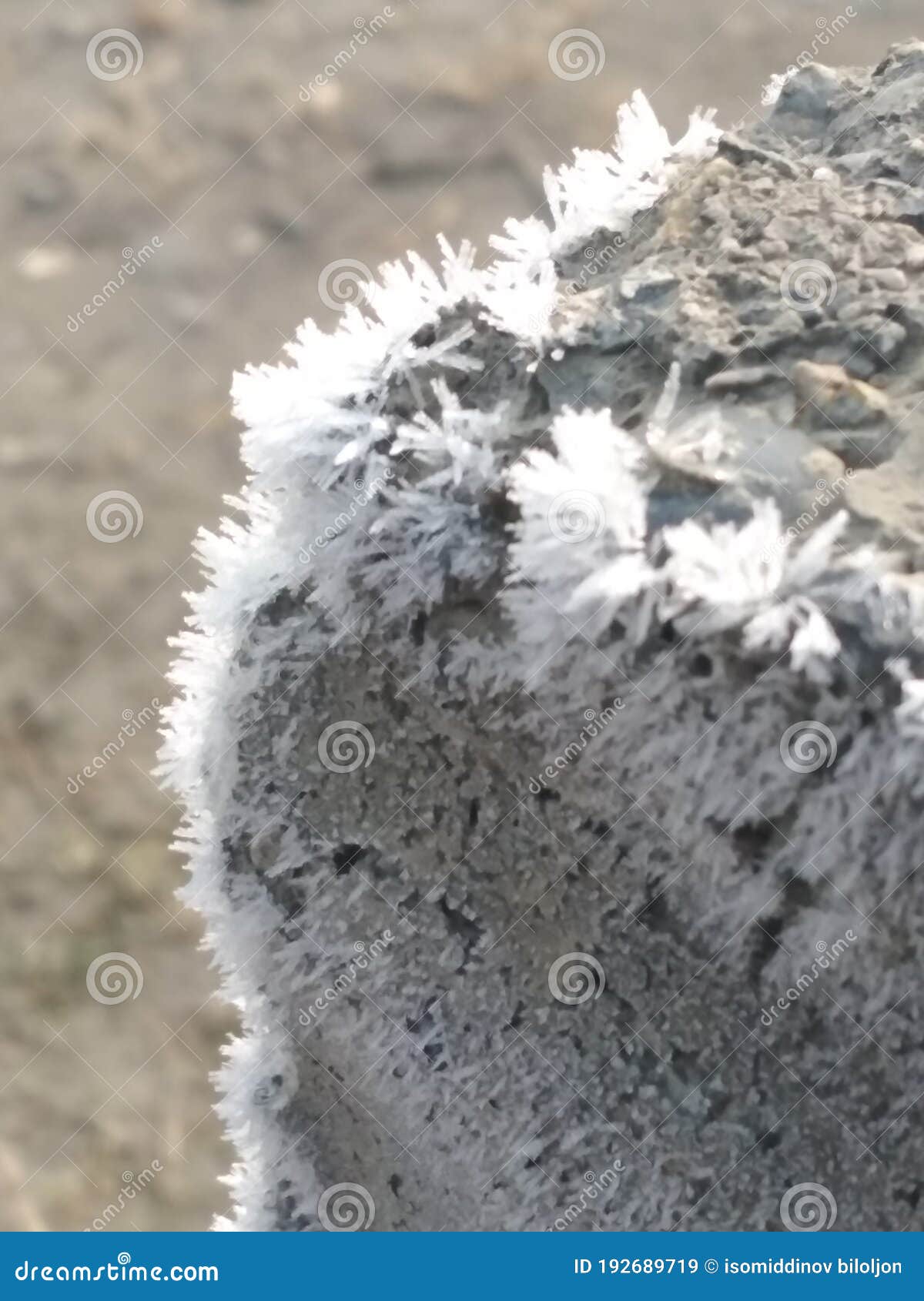 Ice stone beton stock image. Image of plant, snow, rock - 192689719