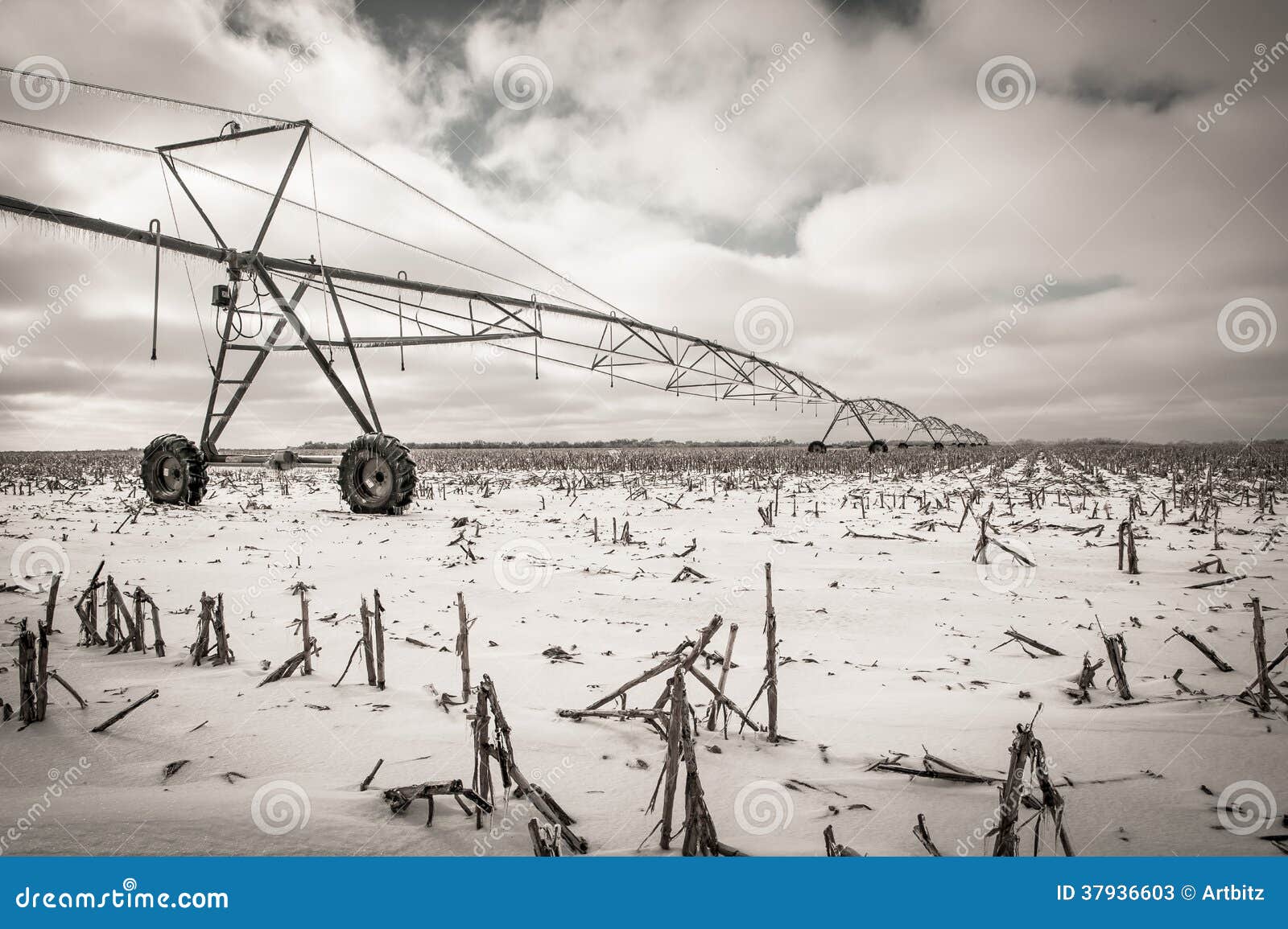 Ice Storm stock image. Image of branch, abstract, encapsulated - 37936603
