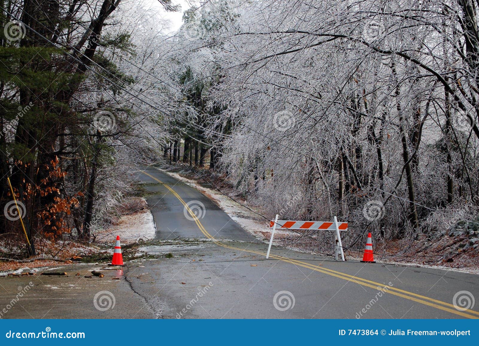 Ice storm, road closed stock photo. Image of urgent, warning - 7473864