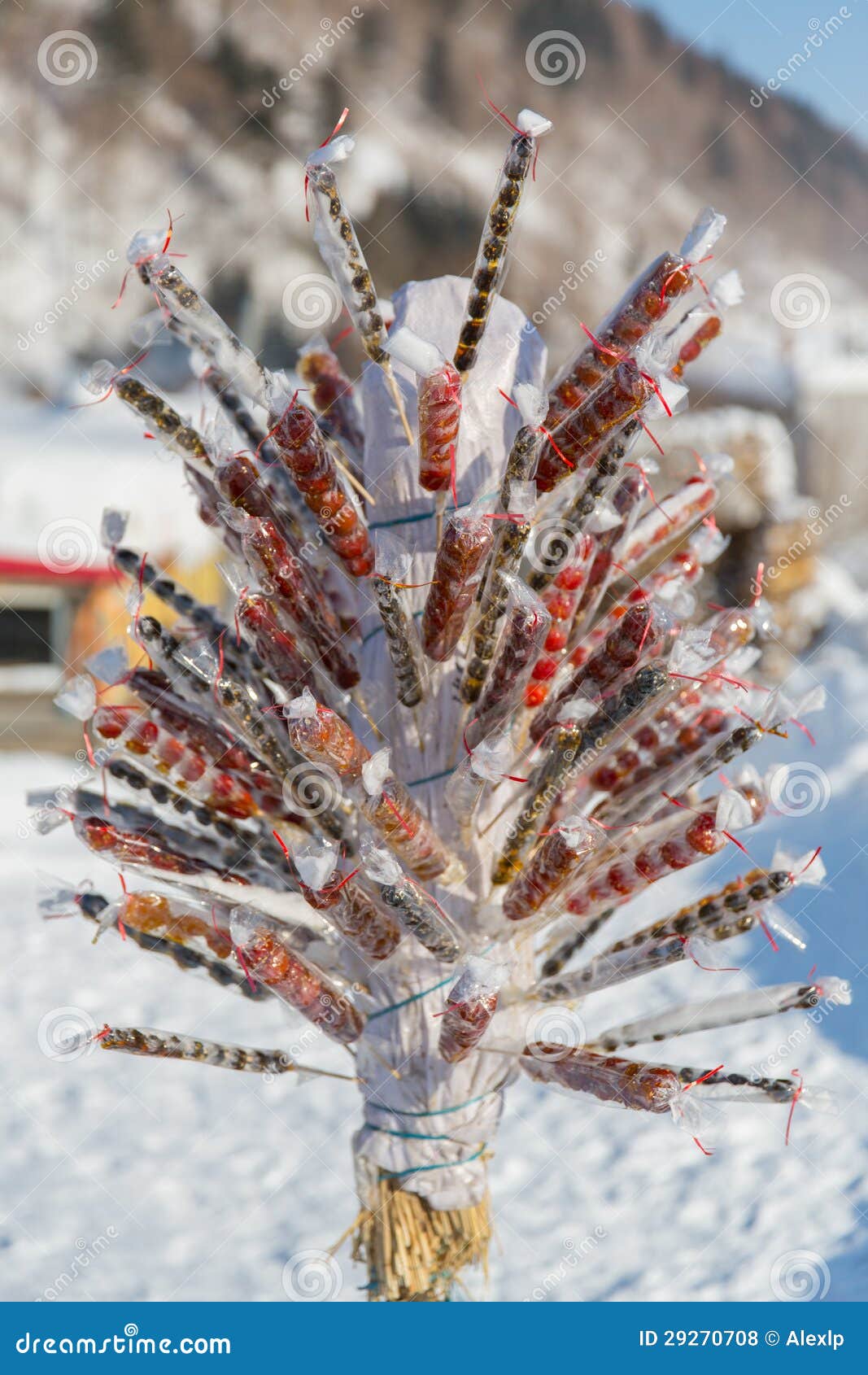 Ice sugar gourd stock photo. Image of sugar, closeup - 29270708
