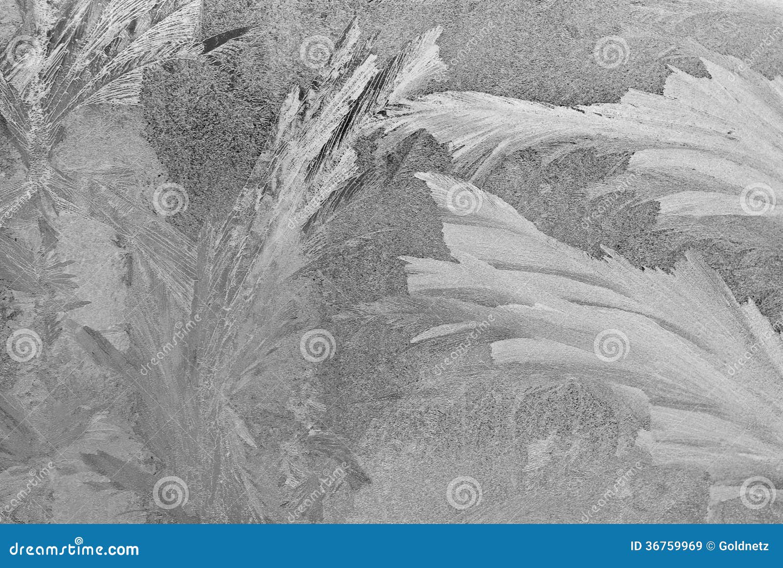 Ice surface stock image. Image of blue, black, flowers - 36759969