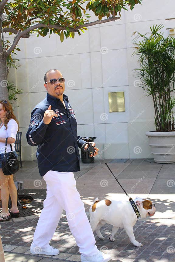 Ice T editorial stock photo. Image of muscian, interview - 19818293
