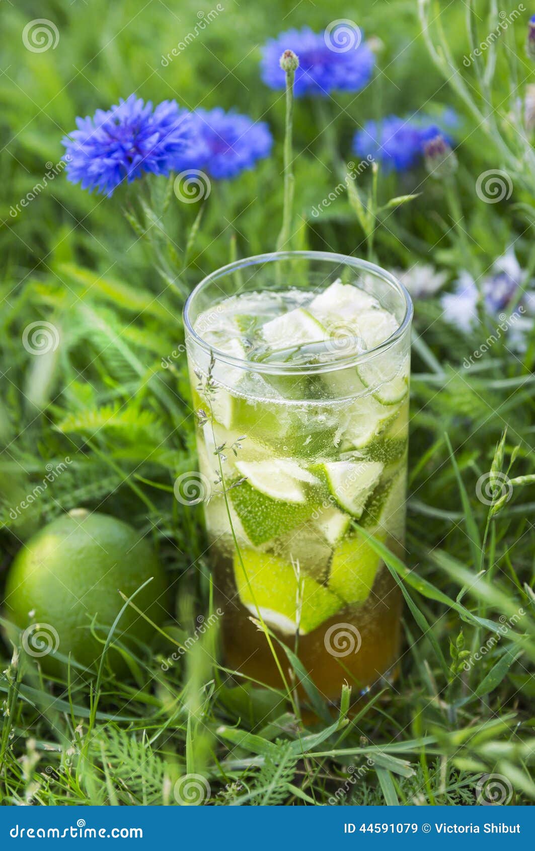 Ice tea in garden flowers stock image. Image of cold - 44591079
