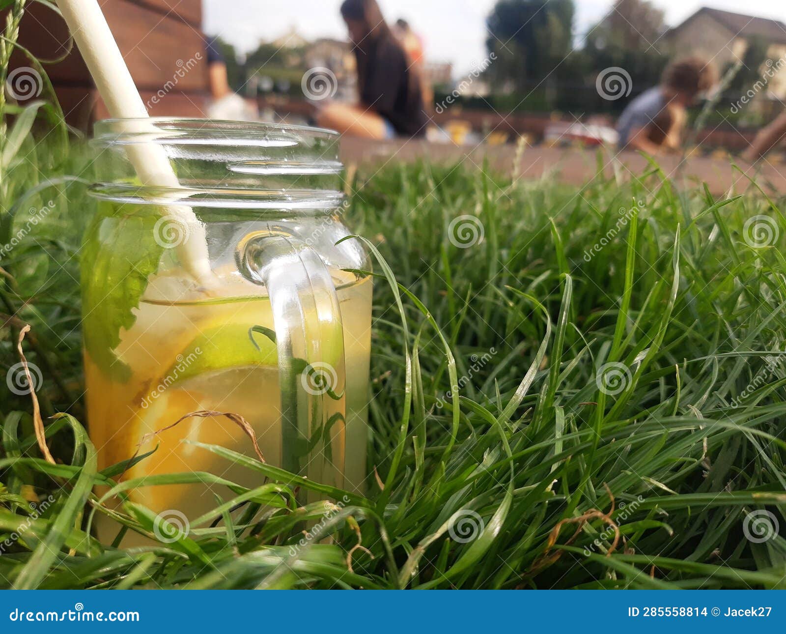Ice Tea in Park Gda?sk Poland Stock Photo - Image of green, lawn: 285558814