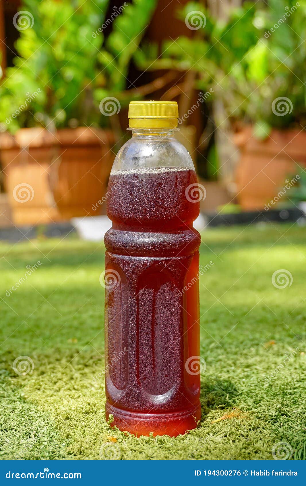 Ice Tea in the Plastic Bottle on Green Grass Background Stock Photo ...