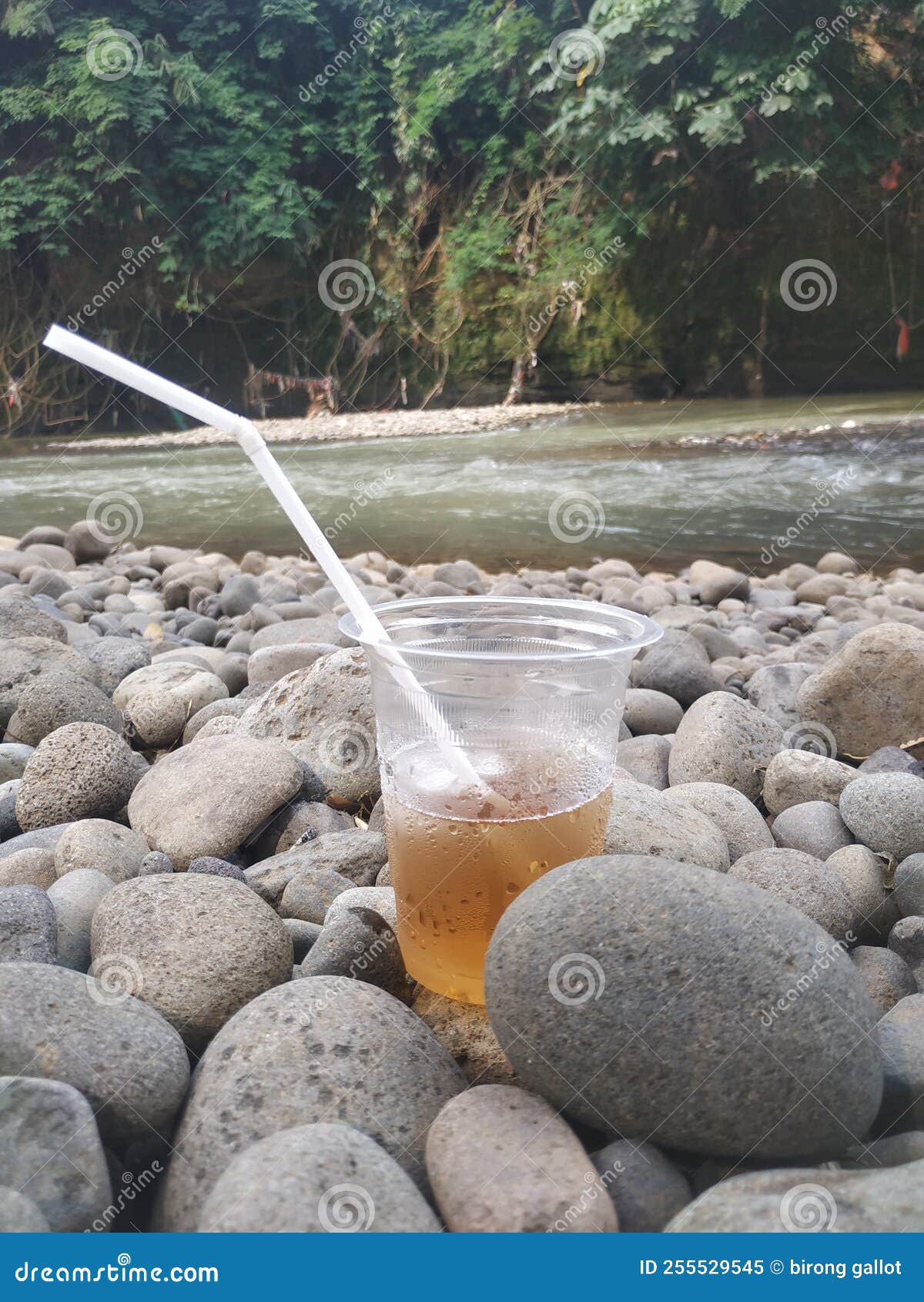 Ice tea on the rock stock image. Image of rock, river - 255529545