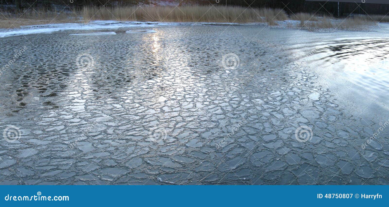 Ice texture stock image. Image of frozen, forming, finland - 48750807