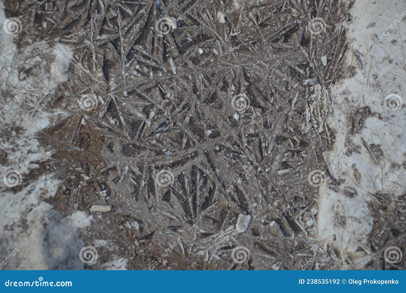 Ice Texture on the Ground Winter Patterns Stock Photo - Image of gray ...