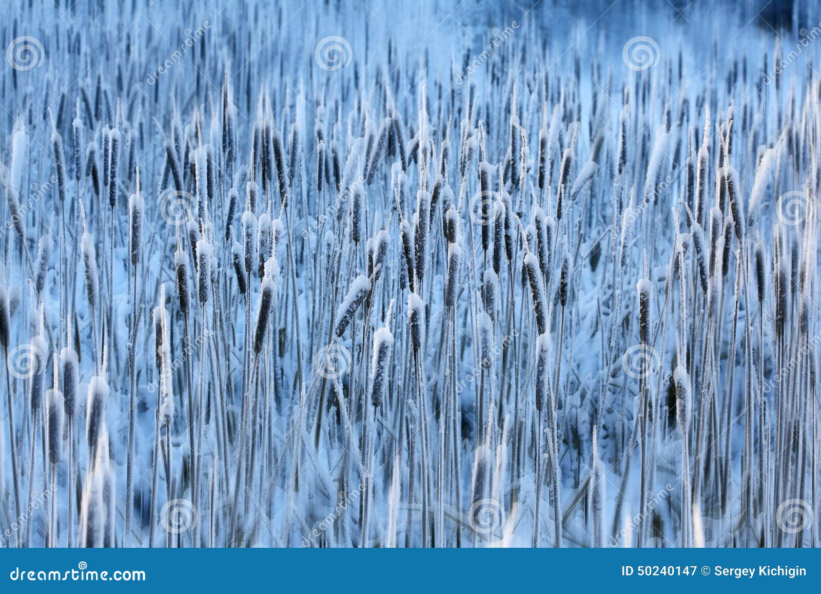 Ice Texture, Macro, Blue Broken Cold the Background Stock Image - Image ...