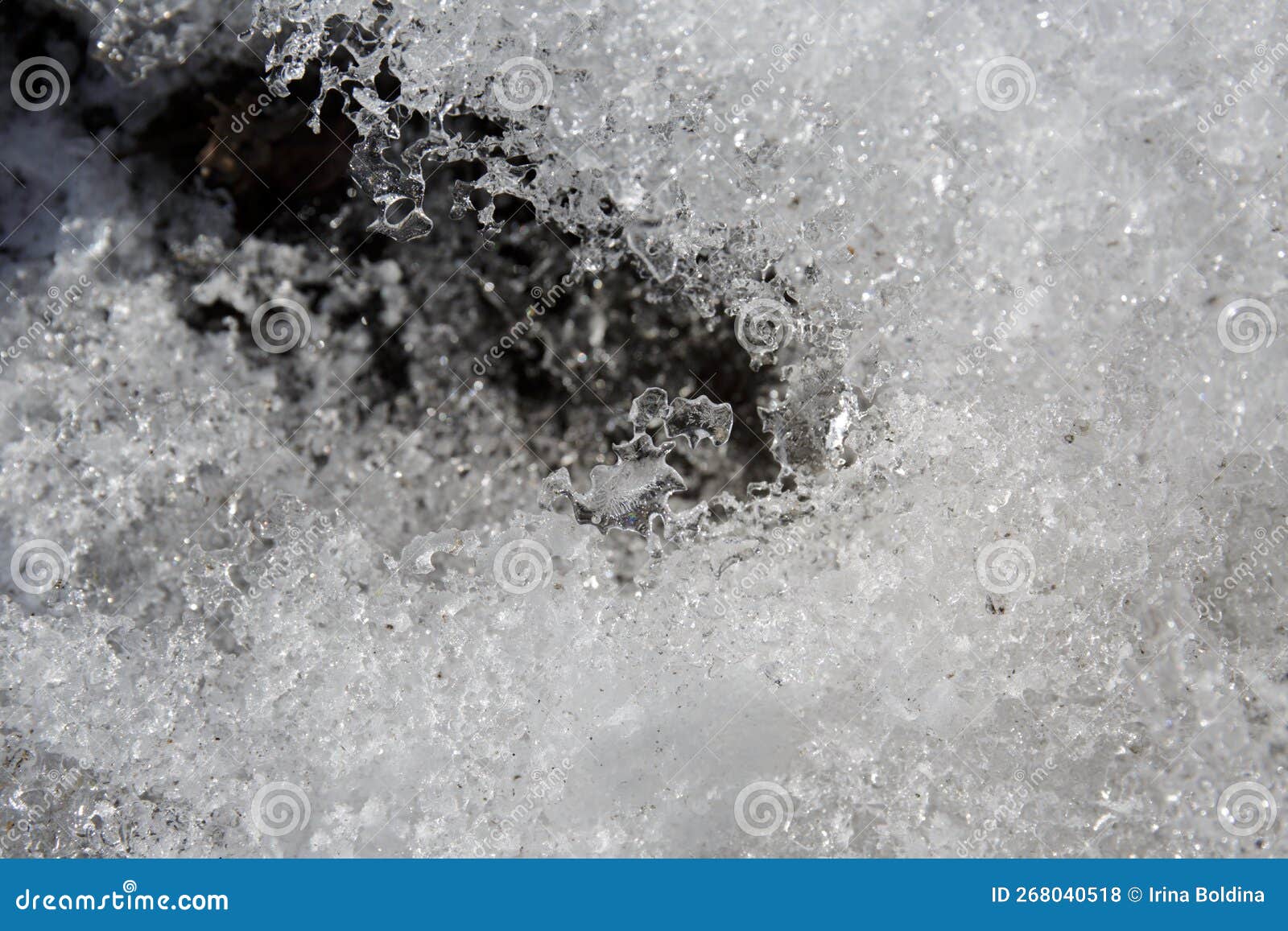 Frozen snowflakes, icicles stock photo. Image of monochromatic - 268040518