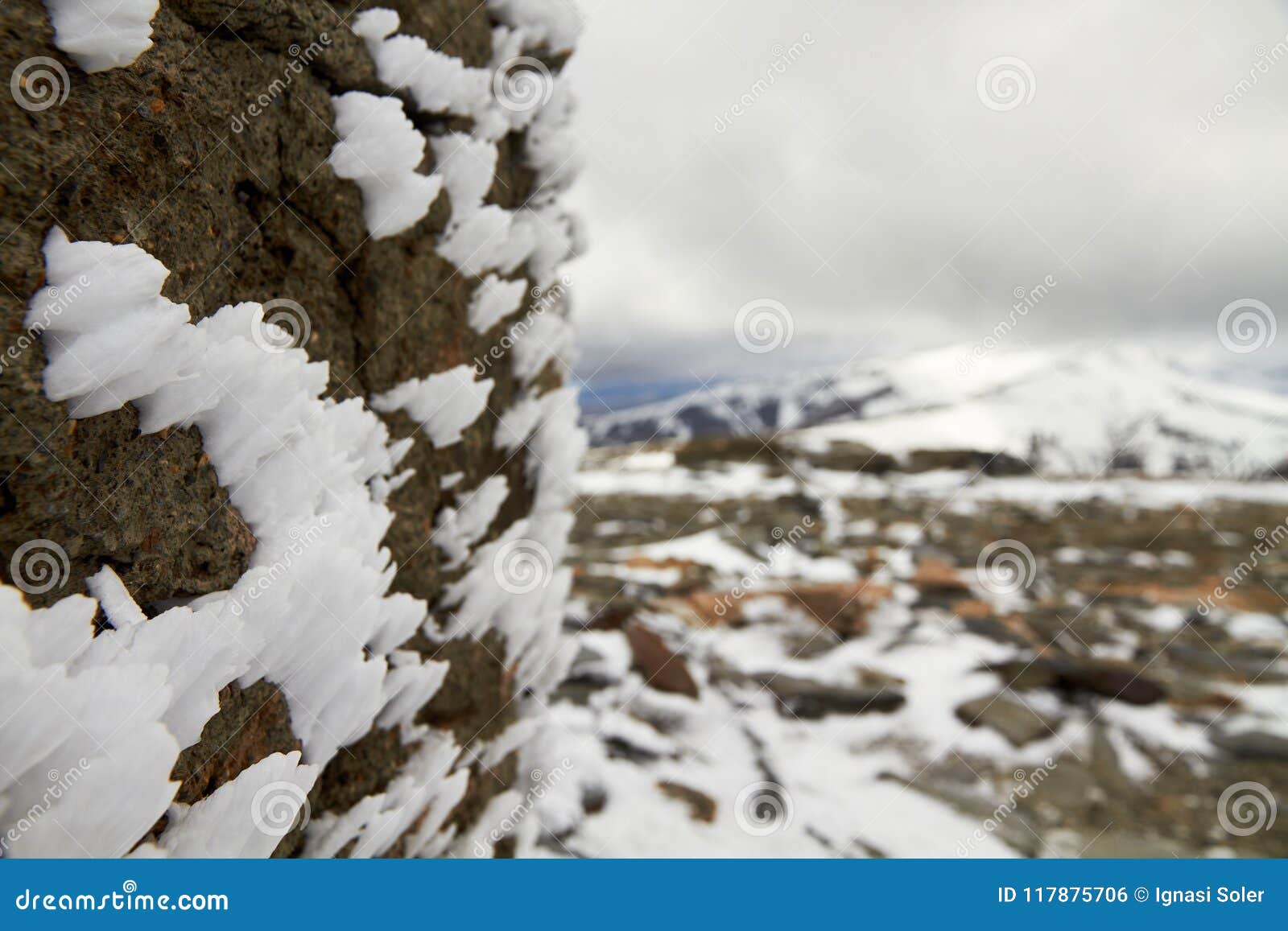 Ice texture on a rock stock photo. Image of outdoors - 117875706
