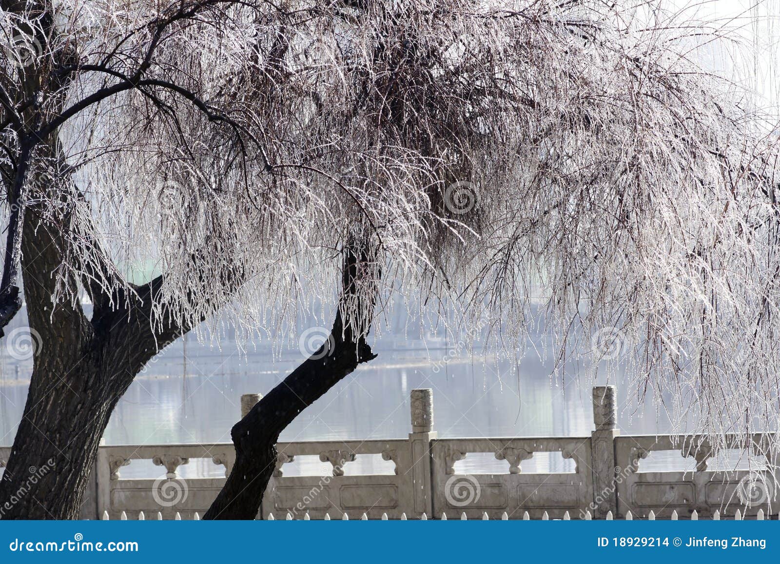 Ice tree stock photo. Image of lake, wintertime, water - 18929214