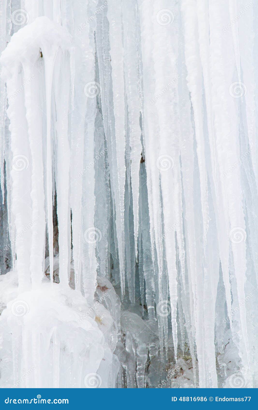 Ice on the tree stock photo. Image of fantasy, water - 48816986