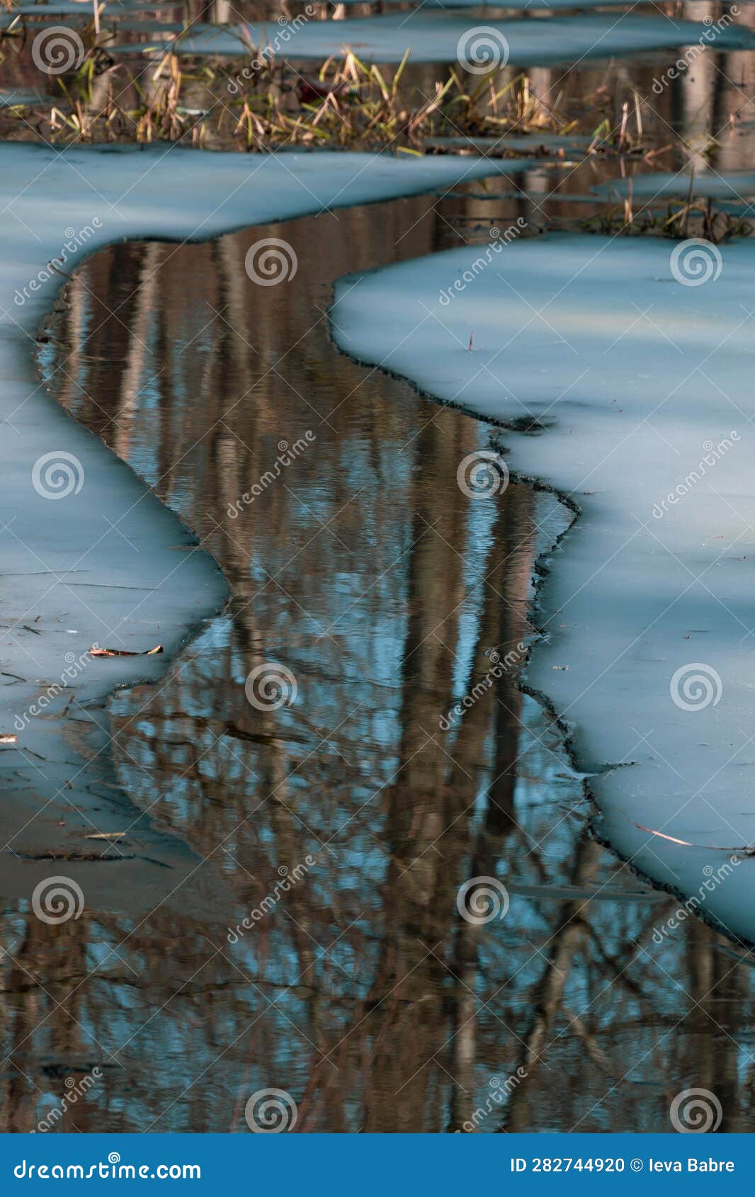 The Ice Turns into Water in the Park Pond Stock Photo - Image of flora ...