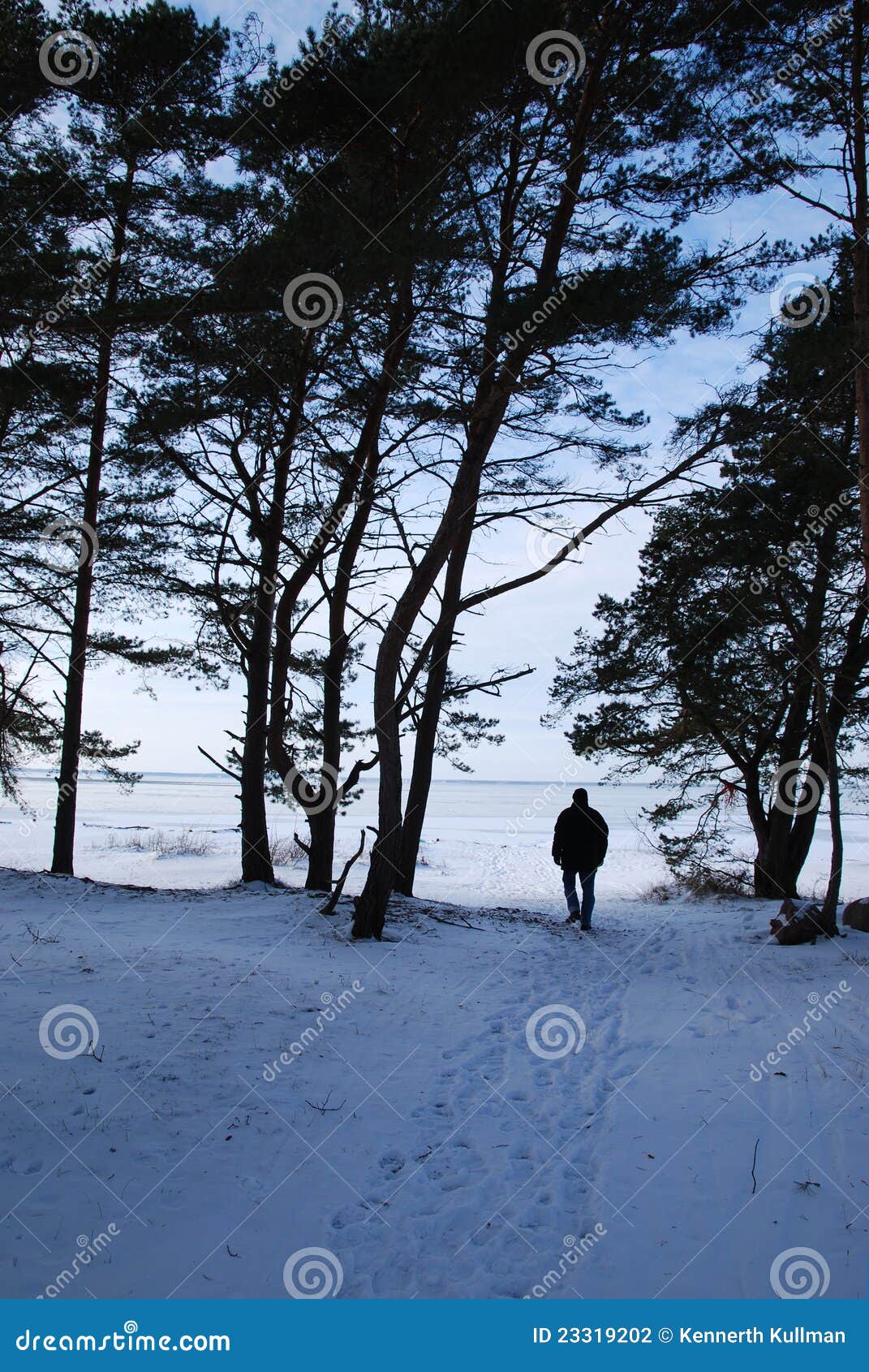 Ice view stock photo. Image of horizon, kalmarsund, walking - 23319202
