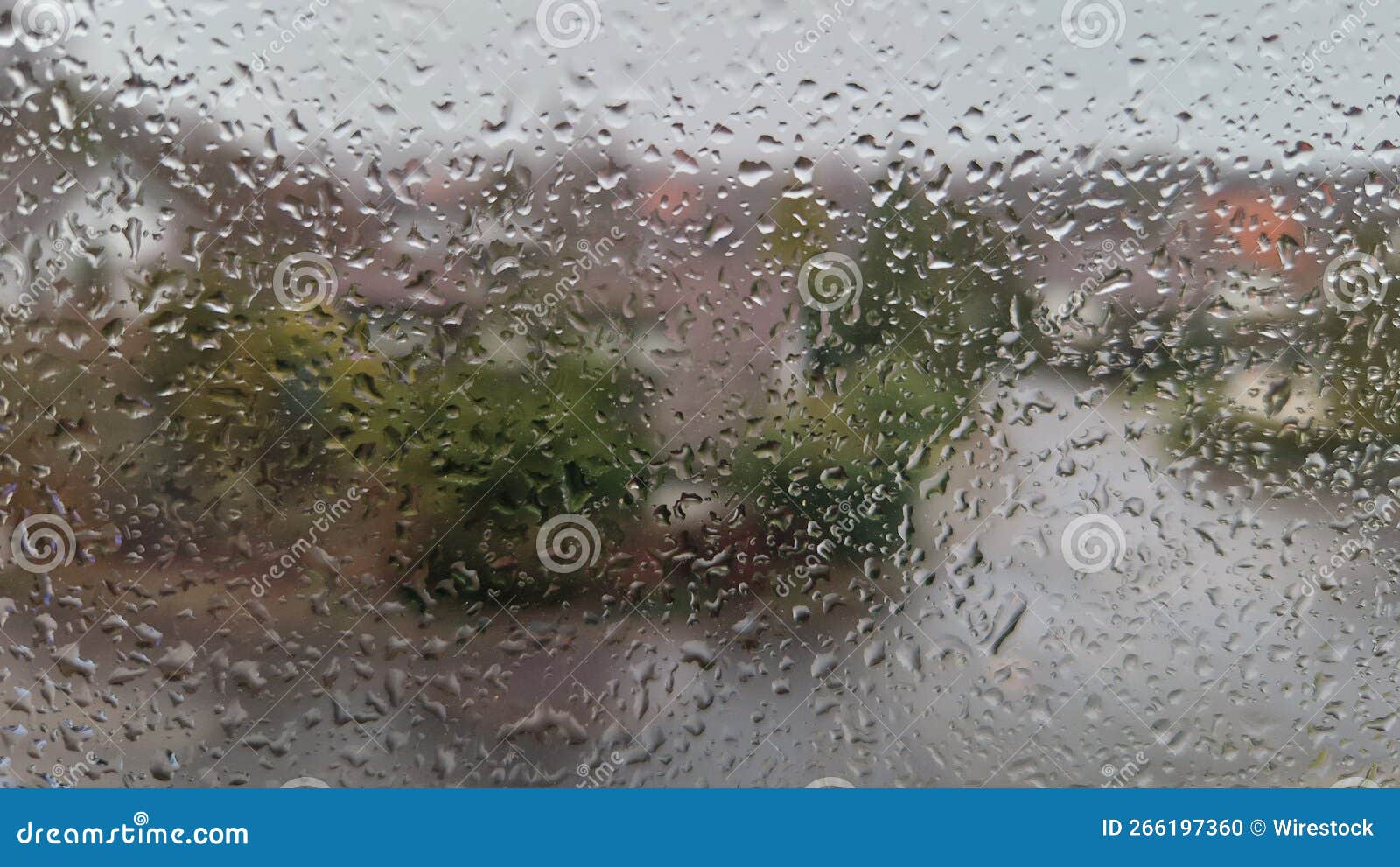 Ice drops on glass window stock photo. Image of winter - 266197360