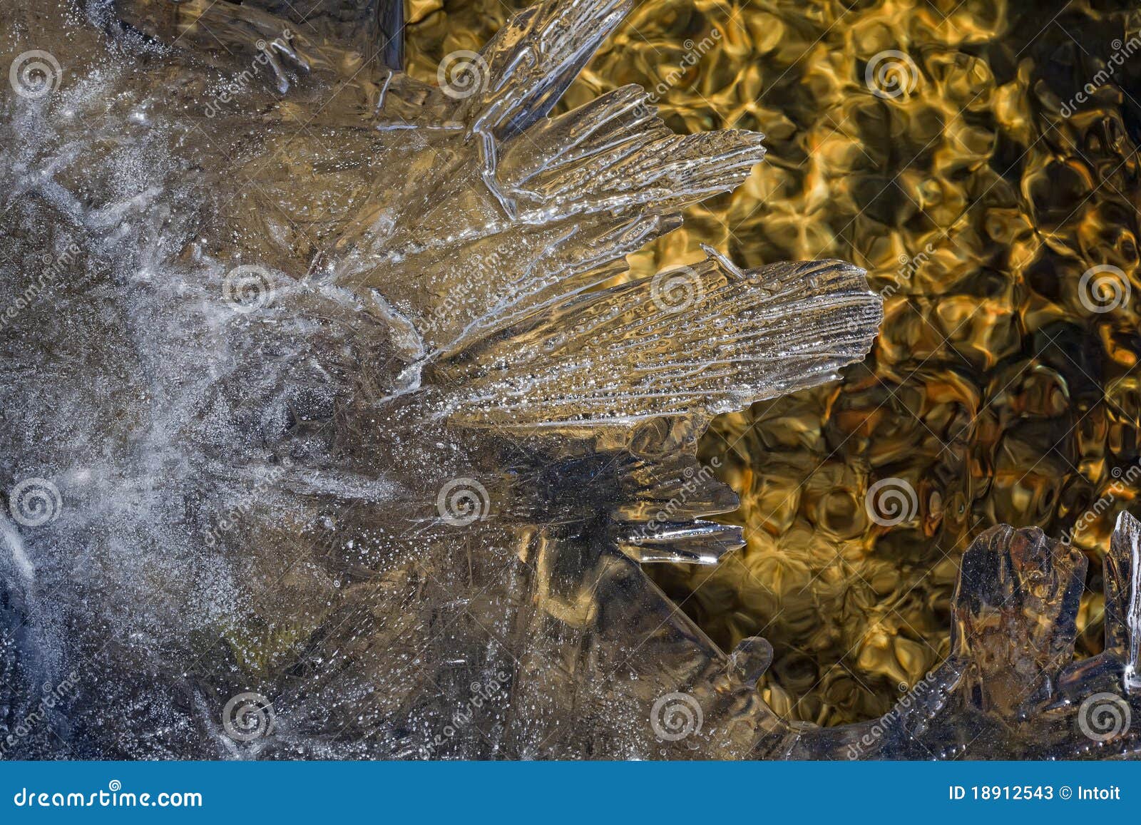 Ice and Water in Spring stock image. Image of creek, close - 18912543