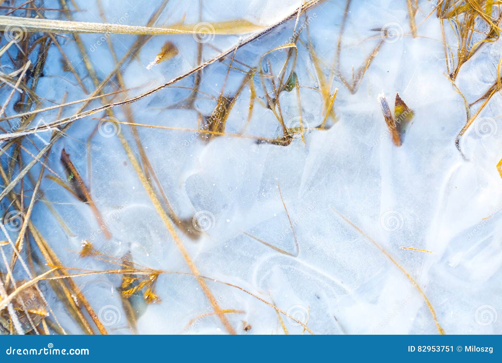 Ice on water texture. stock image. Image of outdoor, frost - 82953751