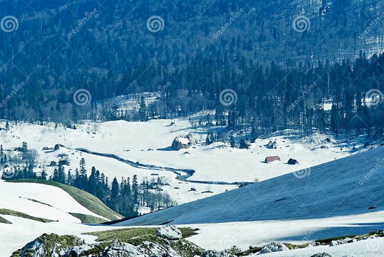 Ice wind dale stock photo. Image of coniferous, nature - 11465904