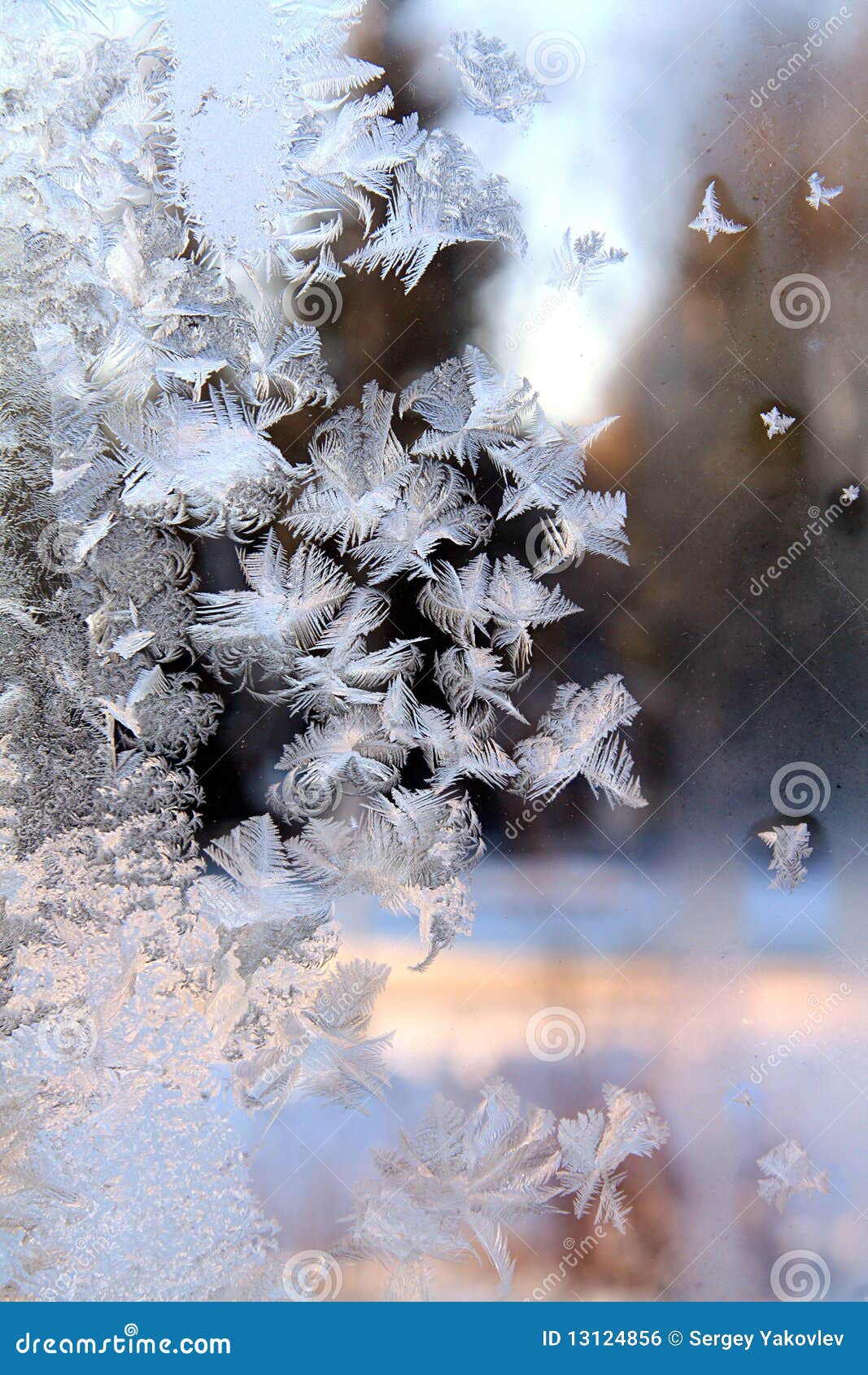 Ice on window stock photo. Image of close, icicle, hoary - 13124856