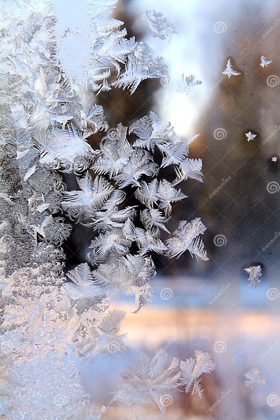 Ice on window stock photo. Image of close, icicle, hoary - 13124856