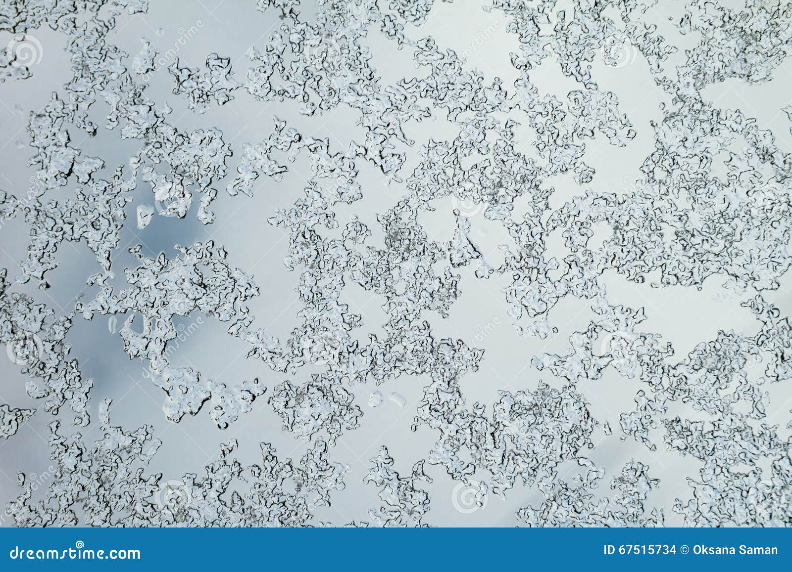 Ice on Windows Glass. Frost on the Window Stock Photo - Image of ...