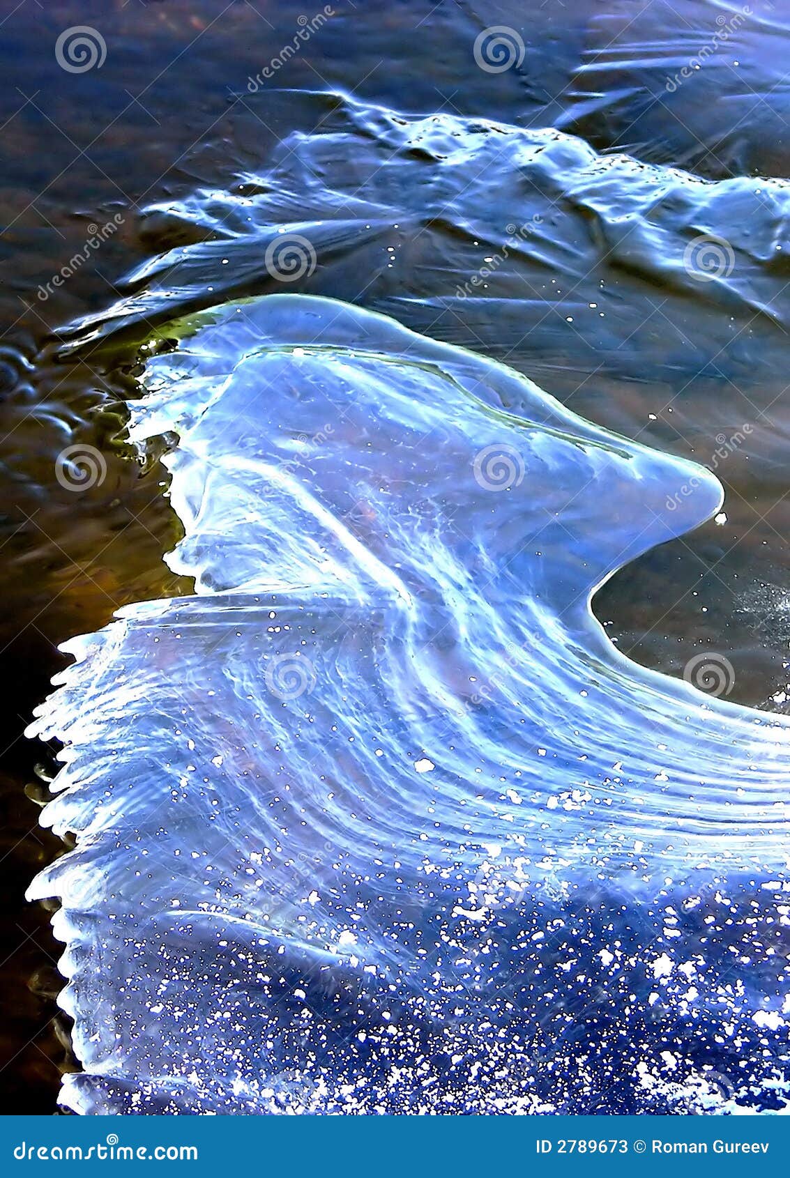 Ice Wing Royalty-Free Stock Photo | CartoonDealer.com #2789673