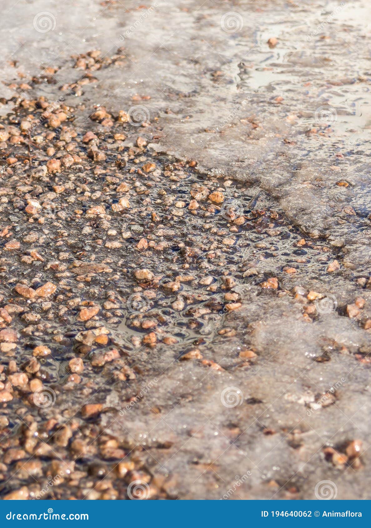 Ice in Winter on the Glatt Footpath Stock Photo - Image of seasonal ...