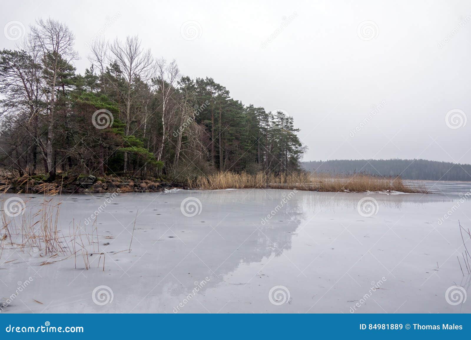Ice in winter stock image. Image of lake, bush, beautiful - 84981889