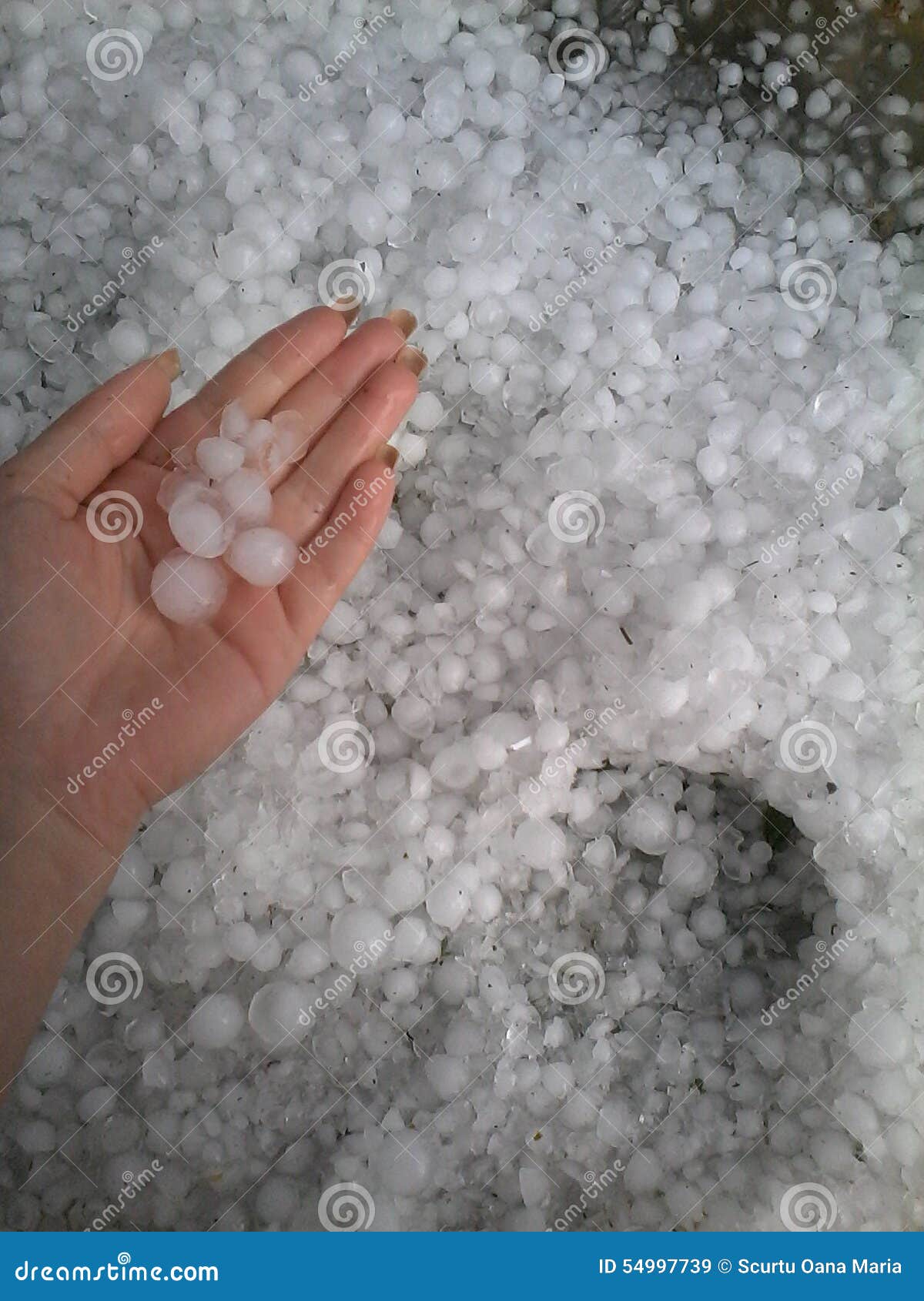 Iceballs stock image. Image of rain, storm, nail, iceballs - 54997739