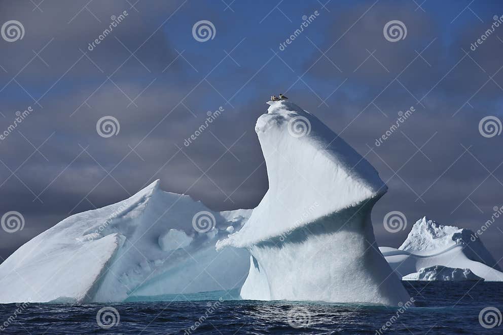 Iceberg with birds stock image. Image of arctic, closeup - 88179709
