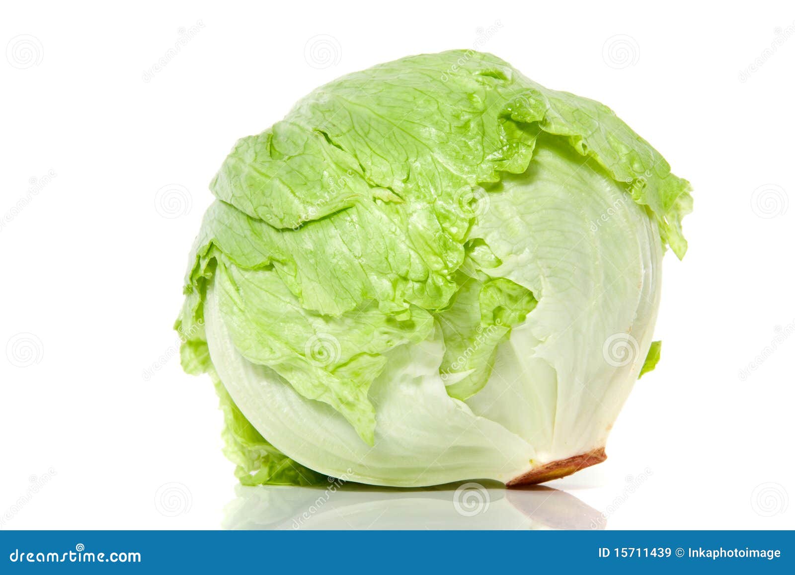 Iceberg lettuce stock image. Image of meal, diet, vegetarian - 15711439