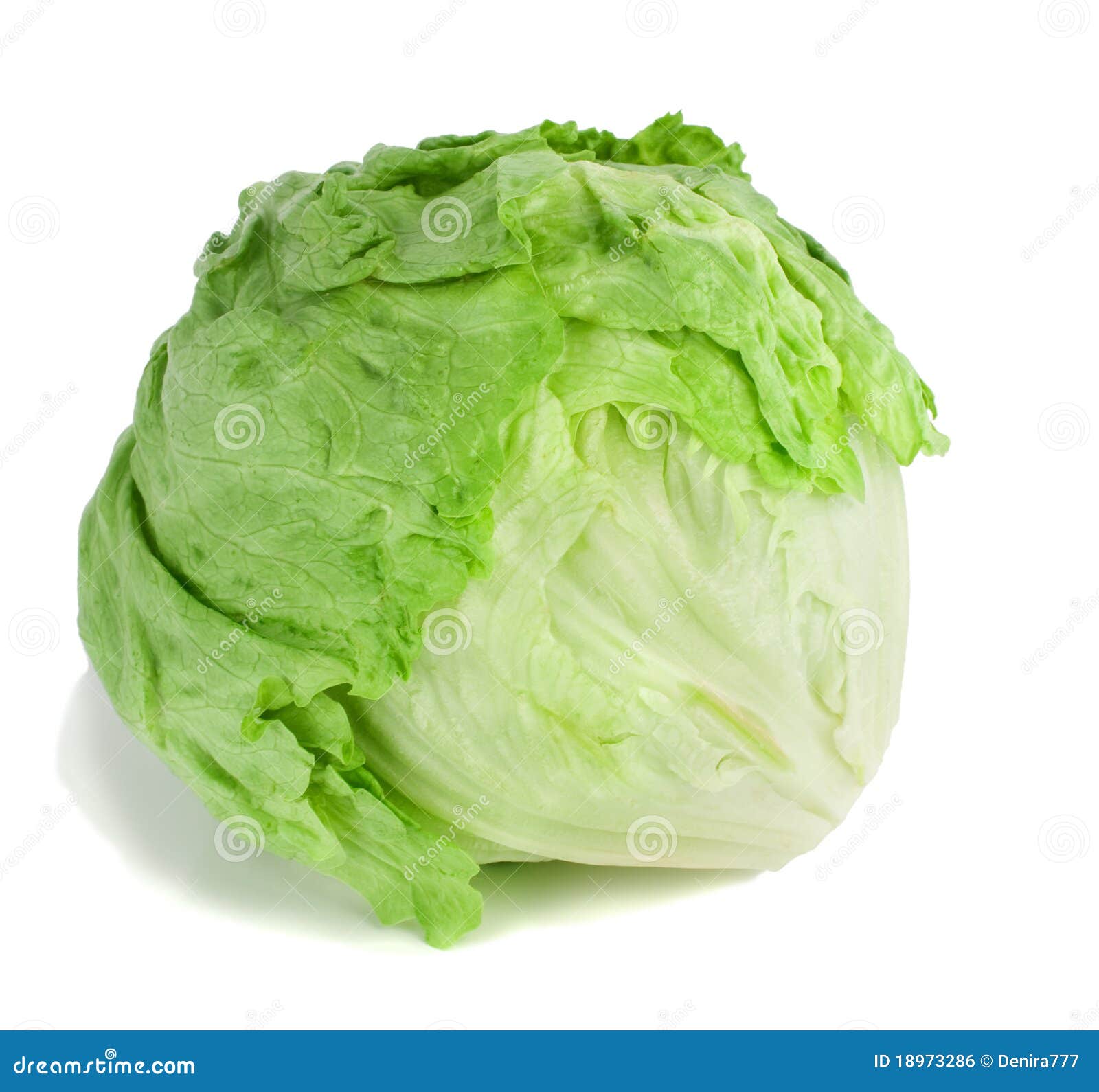 Iceberg lettuce. stock photo. Image of freshness, background - 18973286