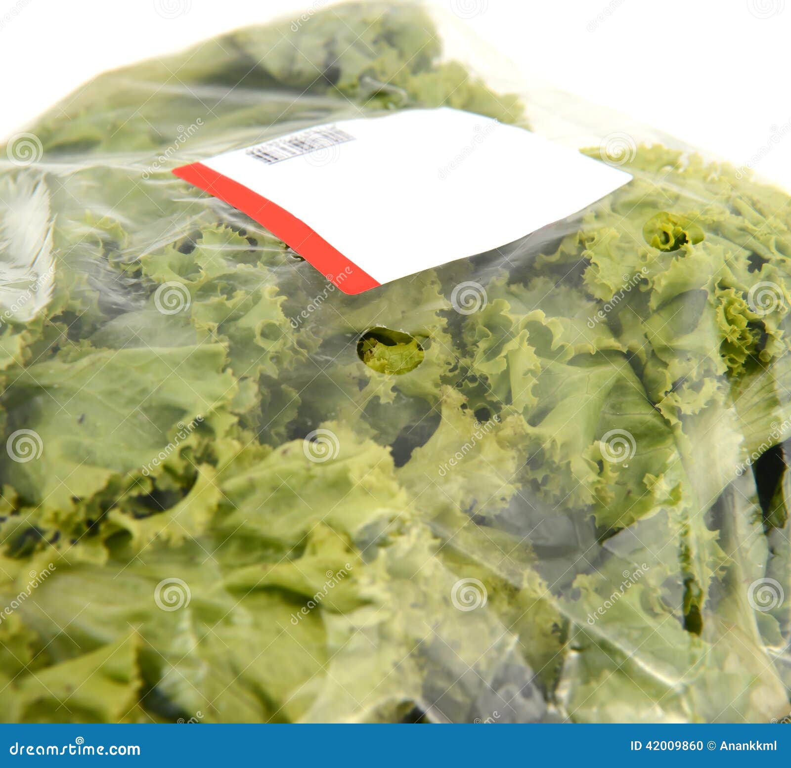 Iceberg Lettuce in Plastic Bag Package Stock Photo - Image of plastic ...