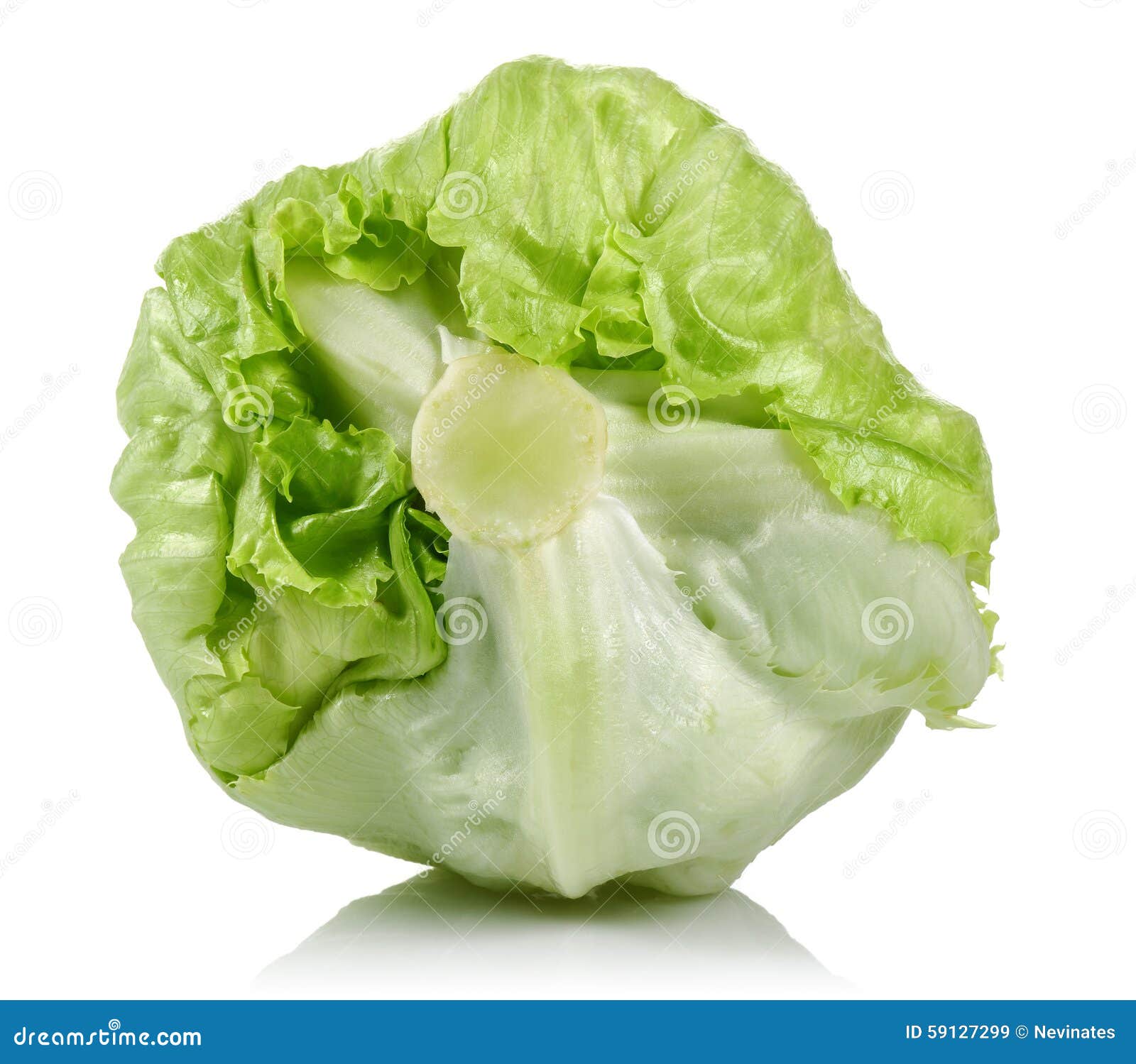 Iceberg lettuce stock image. Image of health, bibb, freshness - 59127299