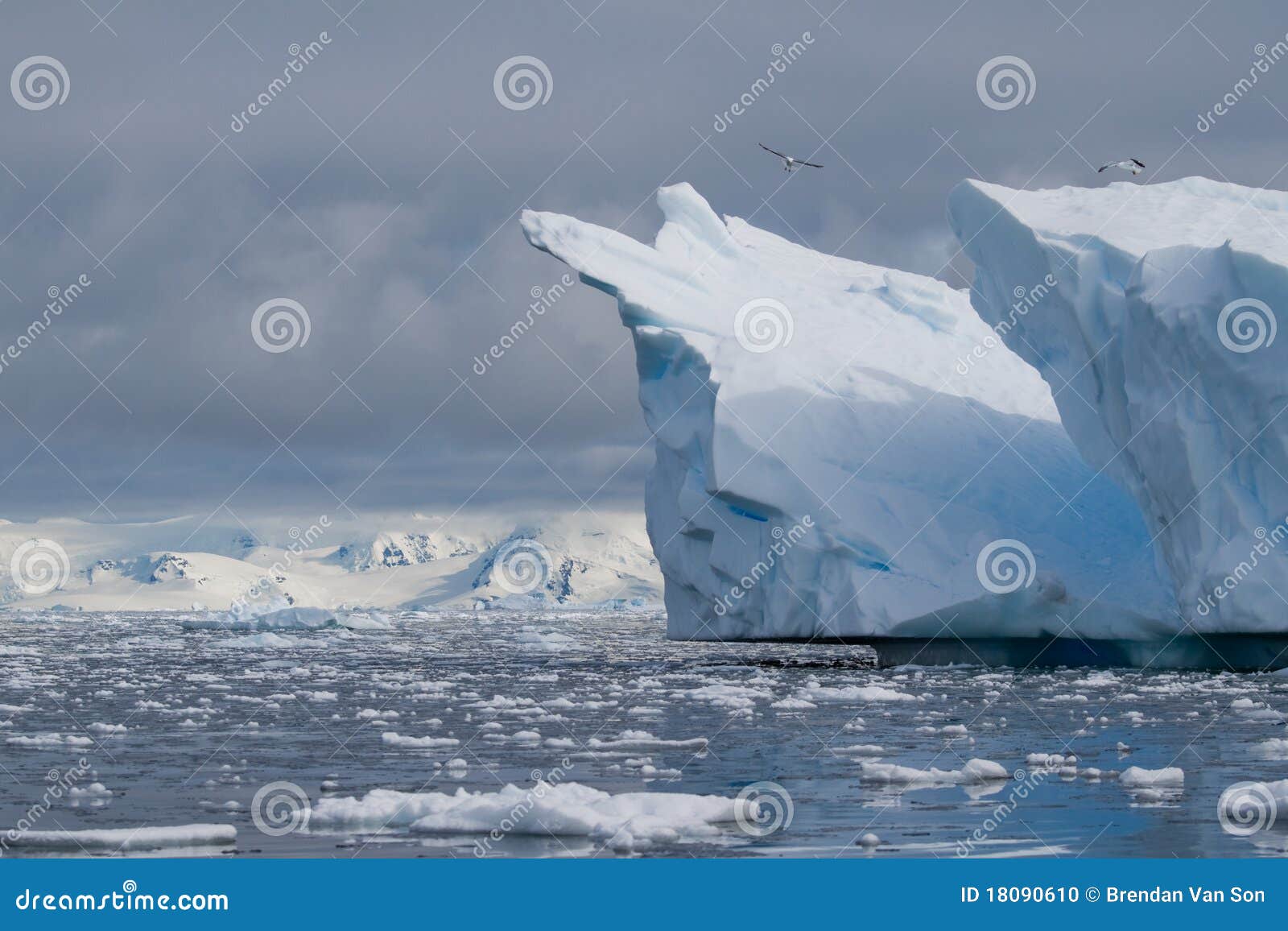 Iceberg scene stock photo. Image of wildlife, beauty - 18090610