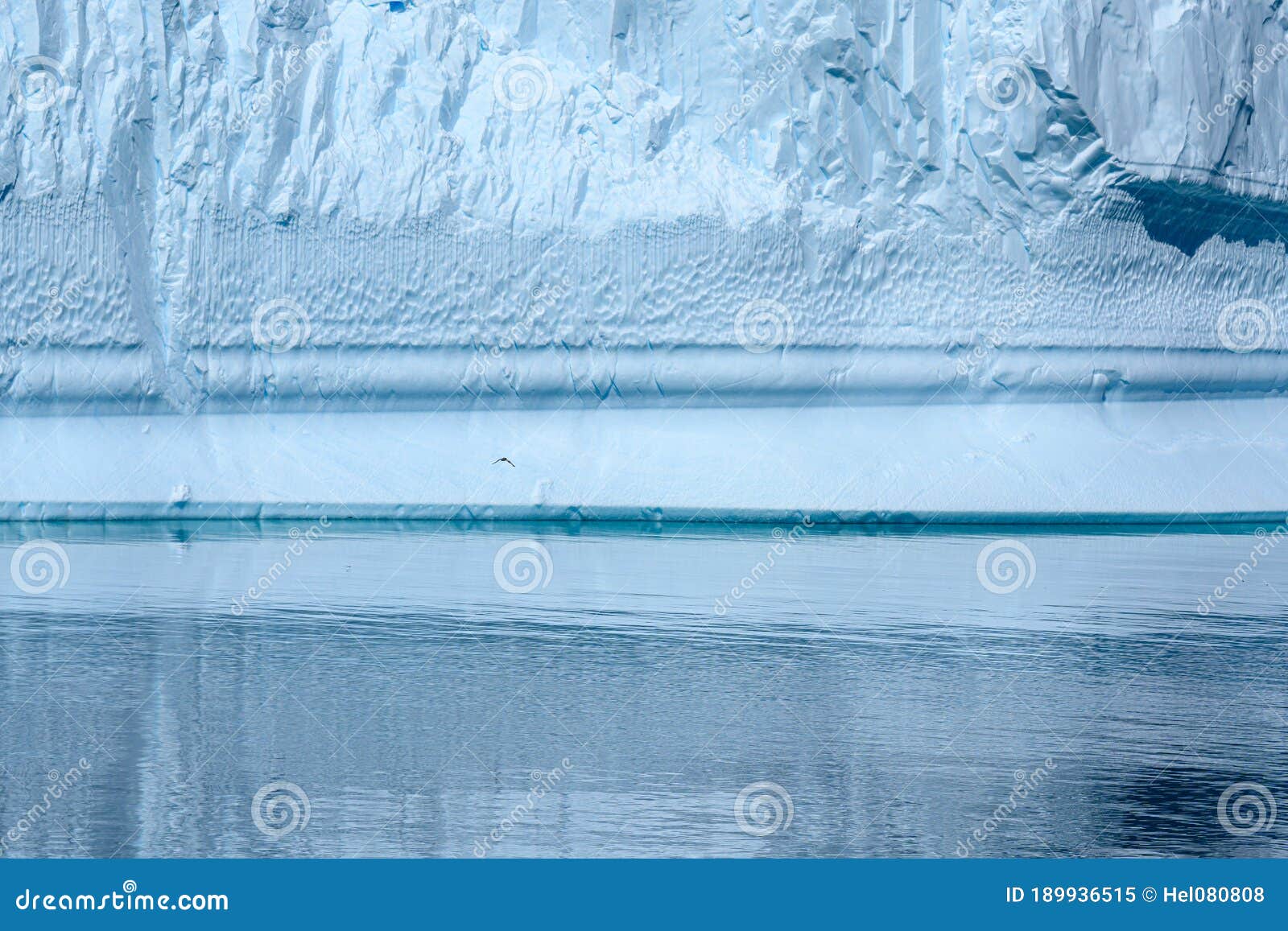 Iceberg Wall with Texture and Cuts, Antarctica Stock Image - Image of ...