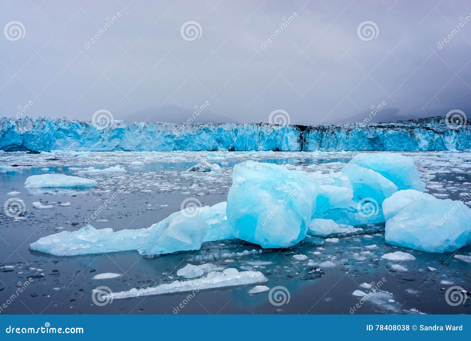 Icebergs Floating Away from a Tidewater Glacier Stock Photo - Image of ...