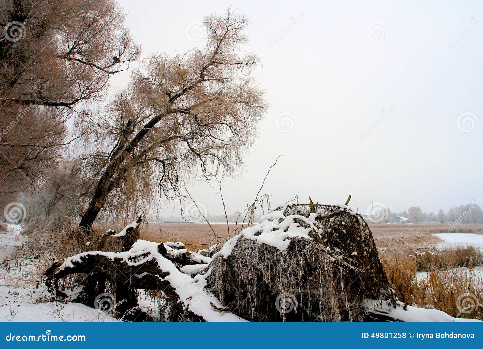 Icebound lake stock photo. Image of snow, icebound, nature - 49801258