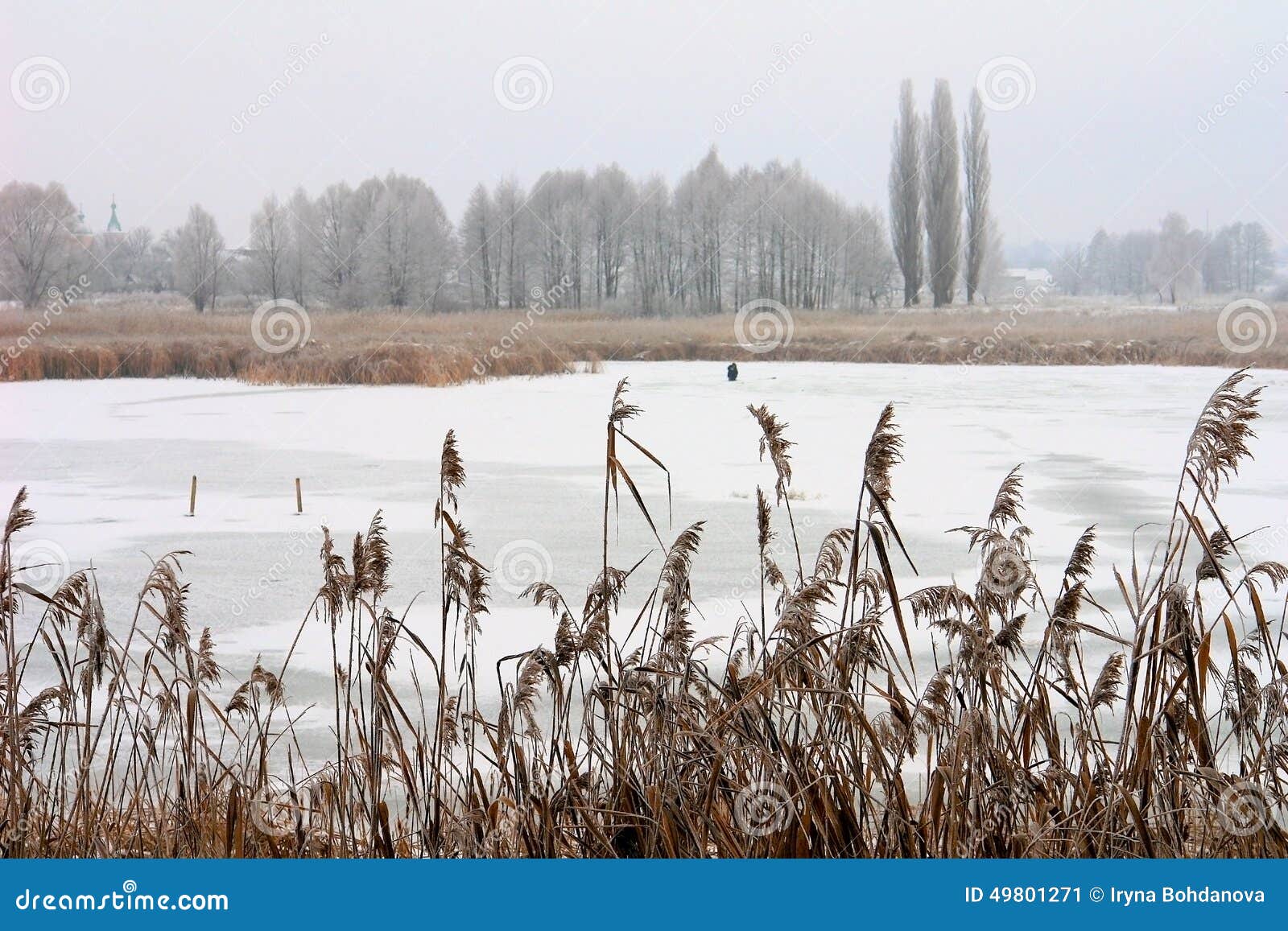 The icebound lake stock image. Image of nature, frost - 49801271