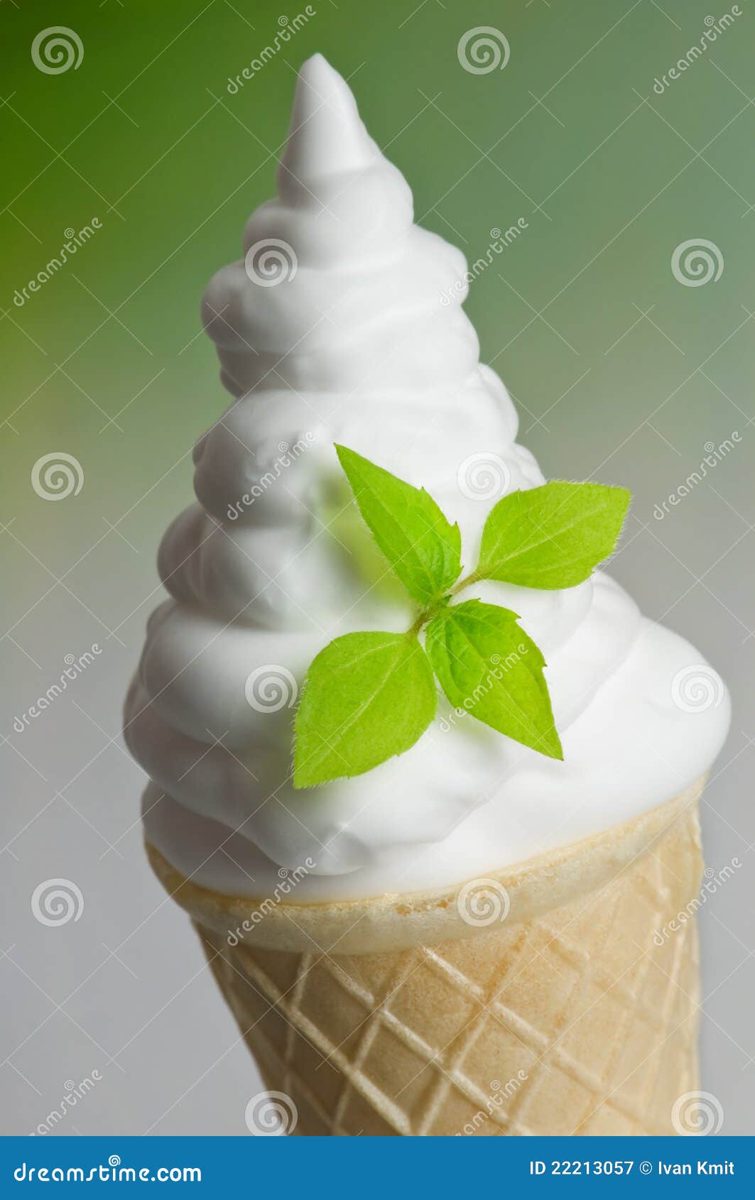 Icecream stock image. Image of single, dessert, twig - 22213057
