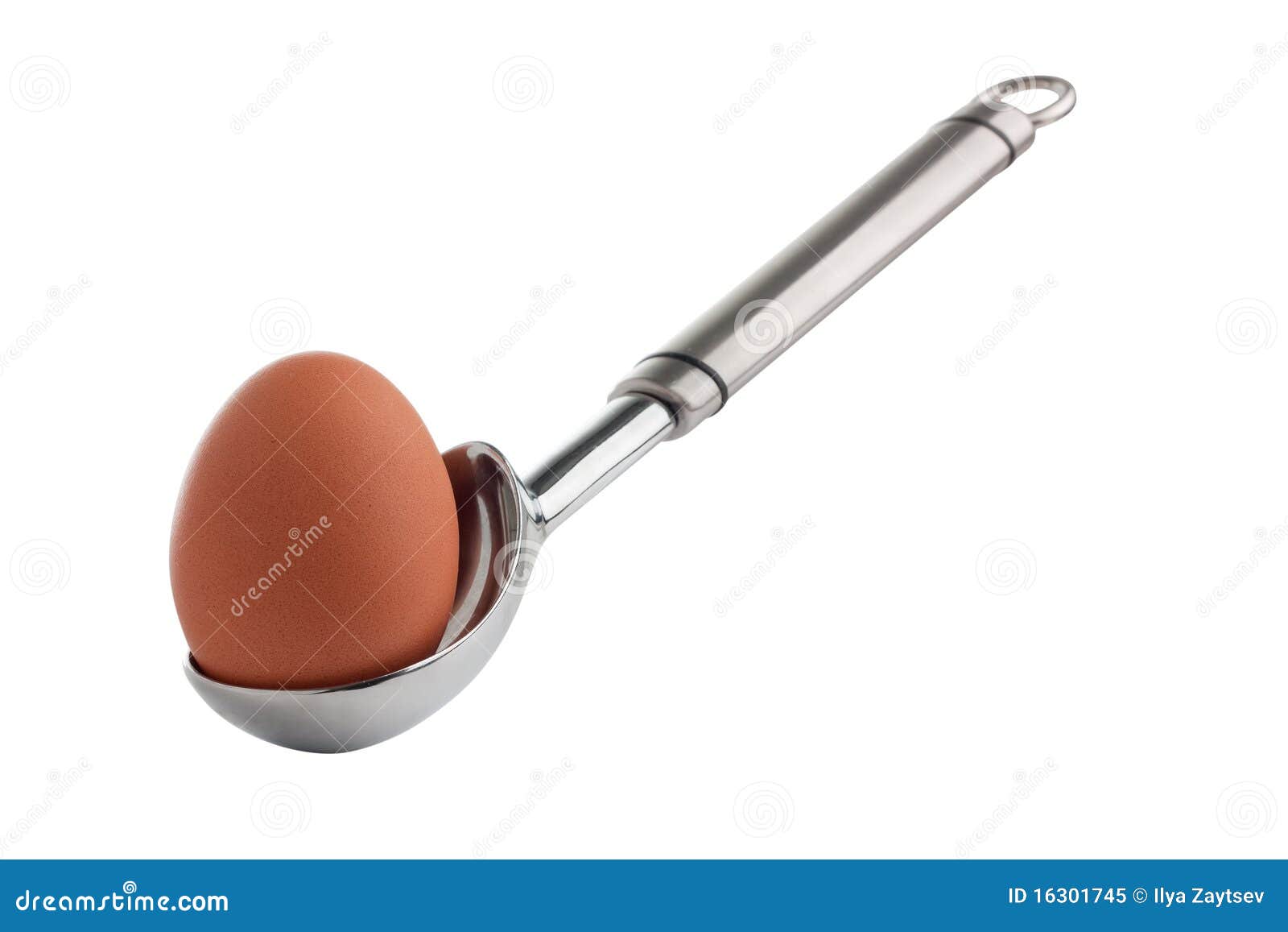Icecream Scoope with Brown Egg Stock Image - Image of steel, metal ...